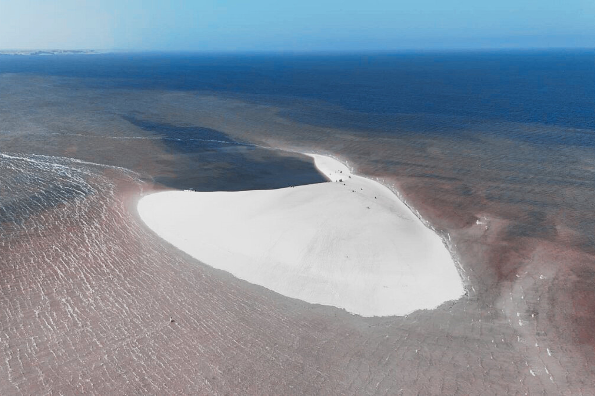 Souss Massa National Park - Agadir Tourist Best Tours 2025